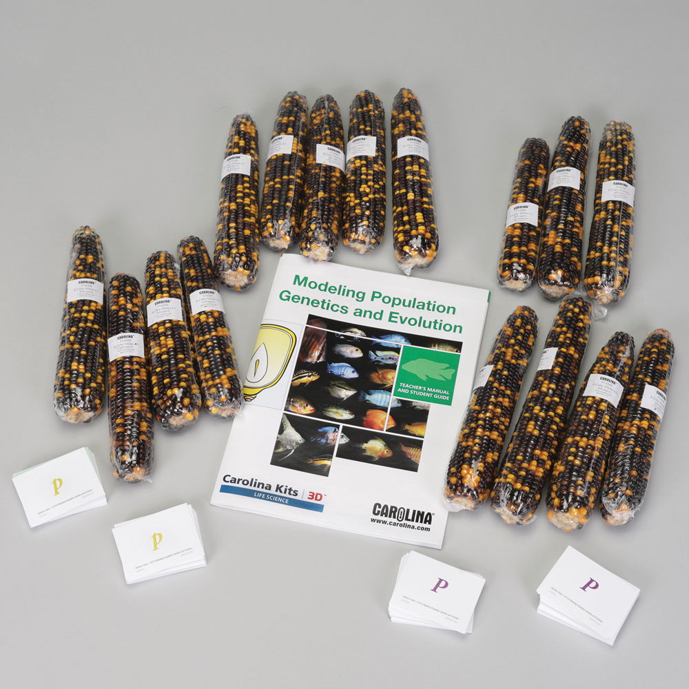 Integrating Science and Engineering Practices