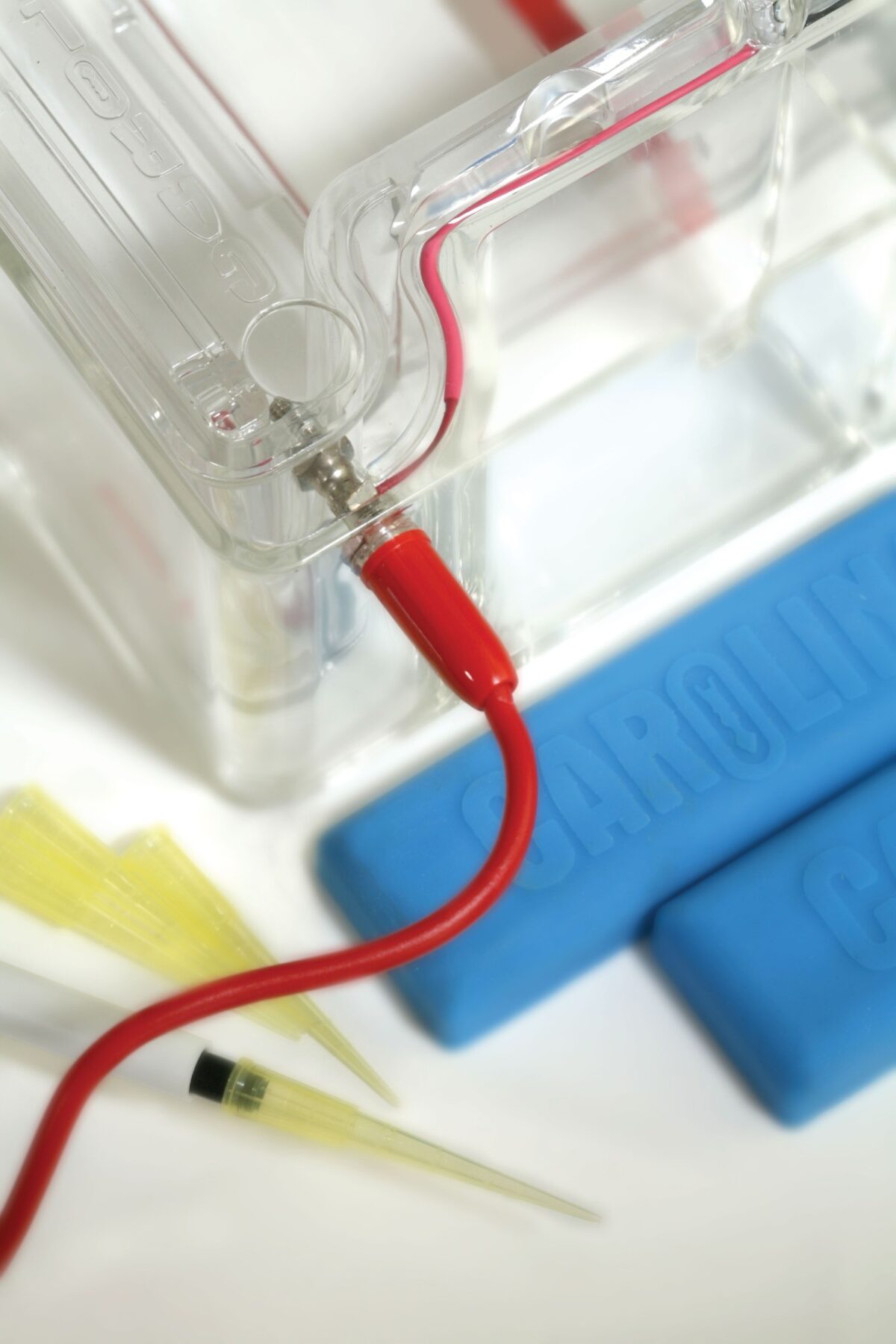 DNALC - Carolina Knowledge Center