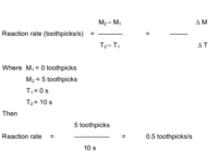 Investigating Enzyme Reaction Rates
