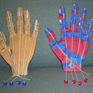 Teaching the Skeletal System