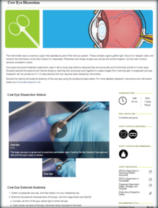 Free Dissection Resources