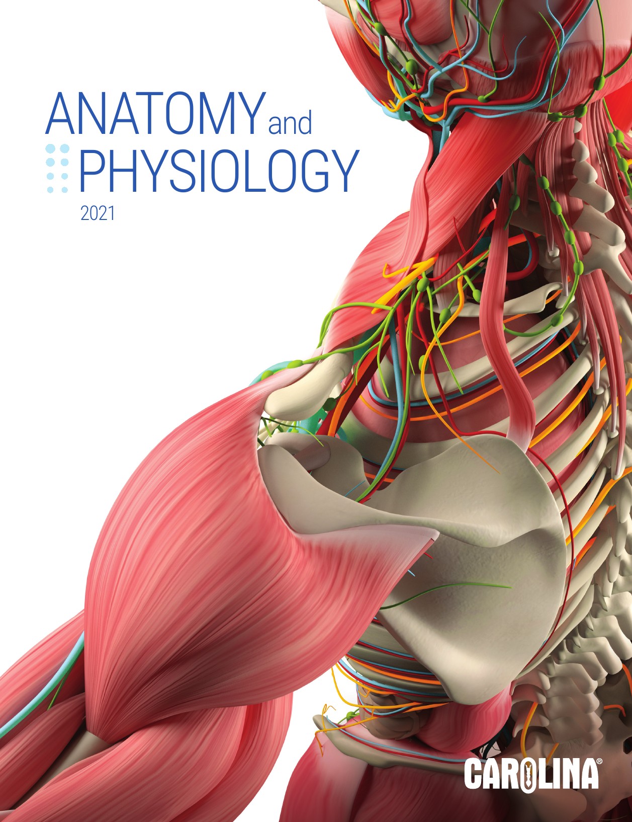 Anatomy & Physiology - Carolina Knowledge Center