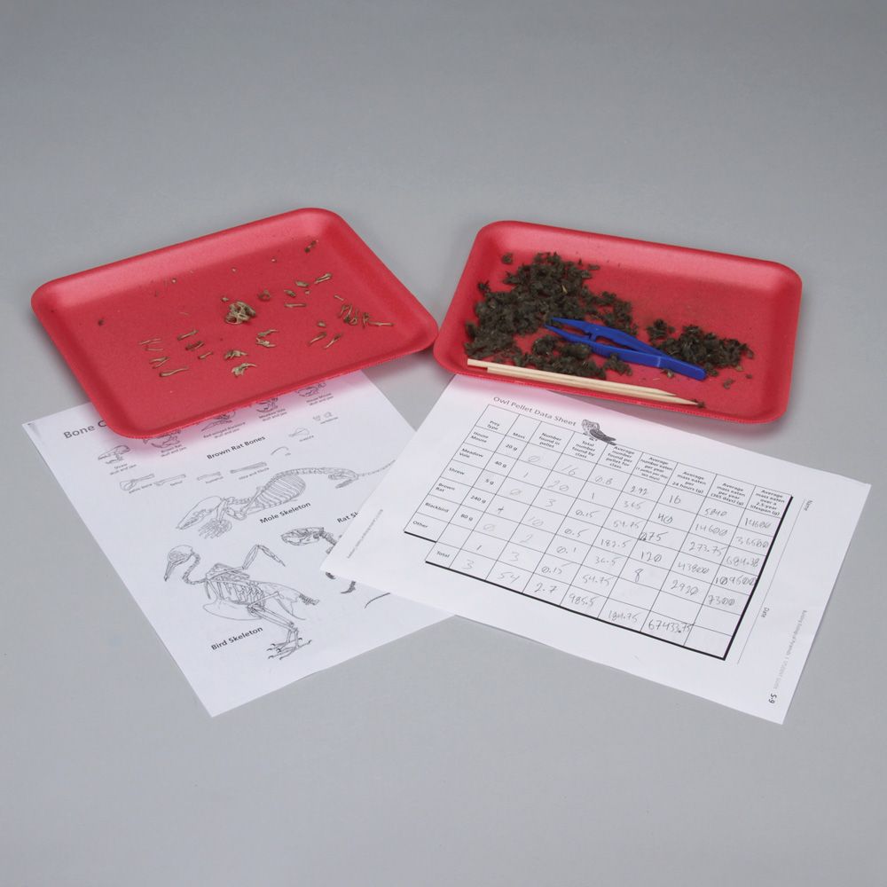 Ecology: Ecosystem Interactions - Carolina Knowledge Center