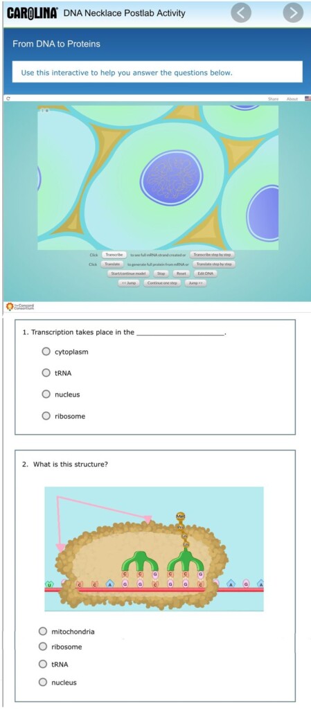 Explore Carolina Digital Kits - Carolina Knowledge Center