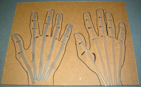 Flex and Extend: Modeling a Human Hand – Carolina Knowledge Center