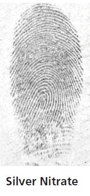 Development of Latent Fingerprints with Silver Nitrate - Carolina ...