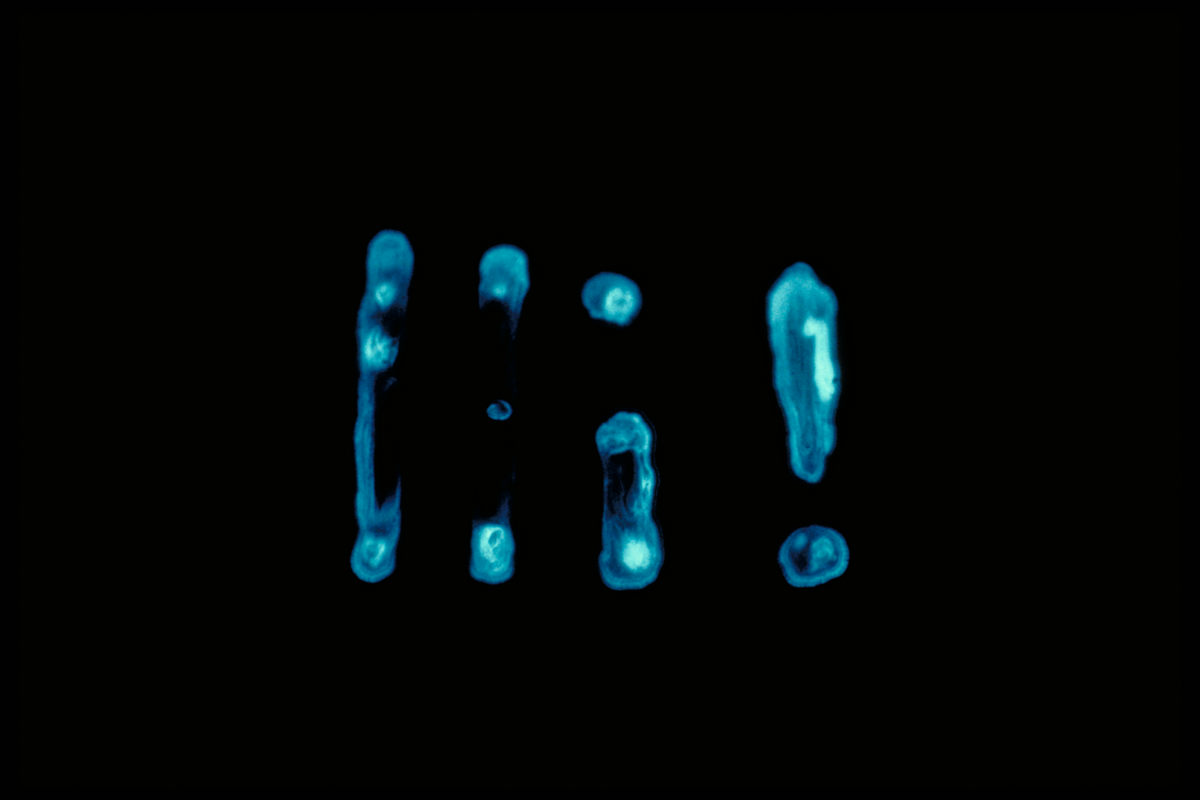 Blood Evidence Activities - Carolina Knowledge Center