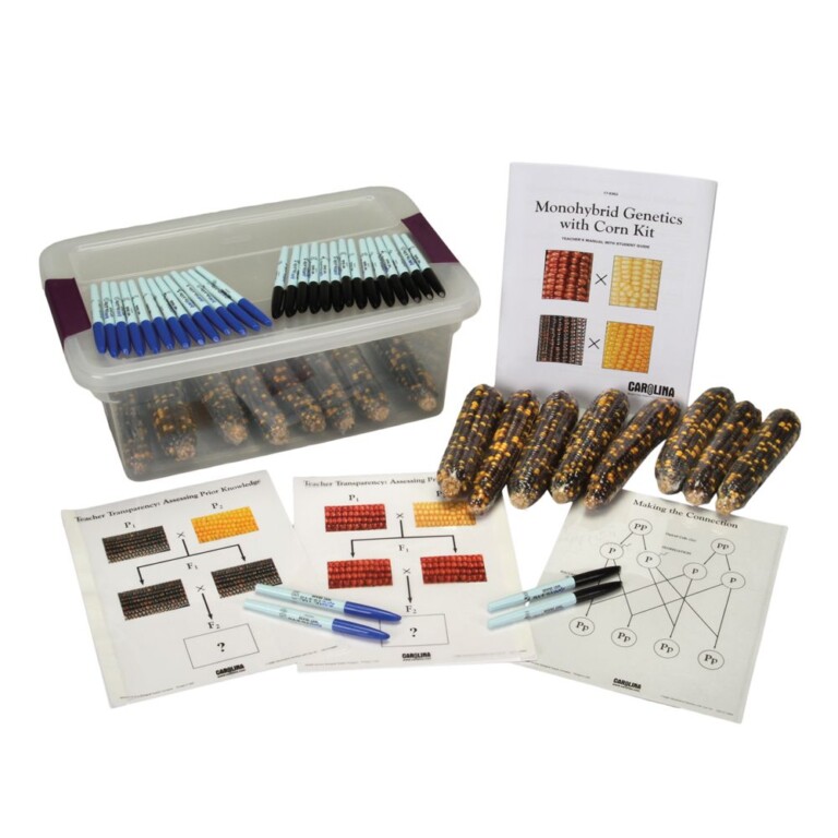 Mendelian Genetics - Carolina Knowledge Center