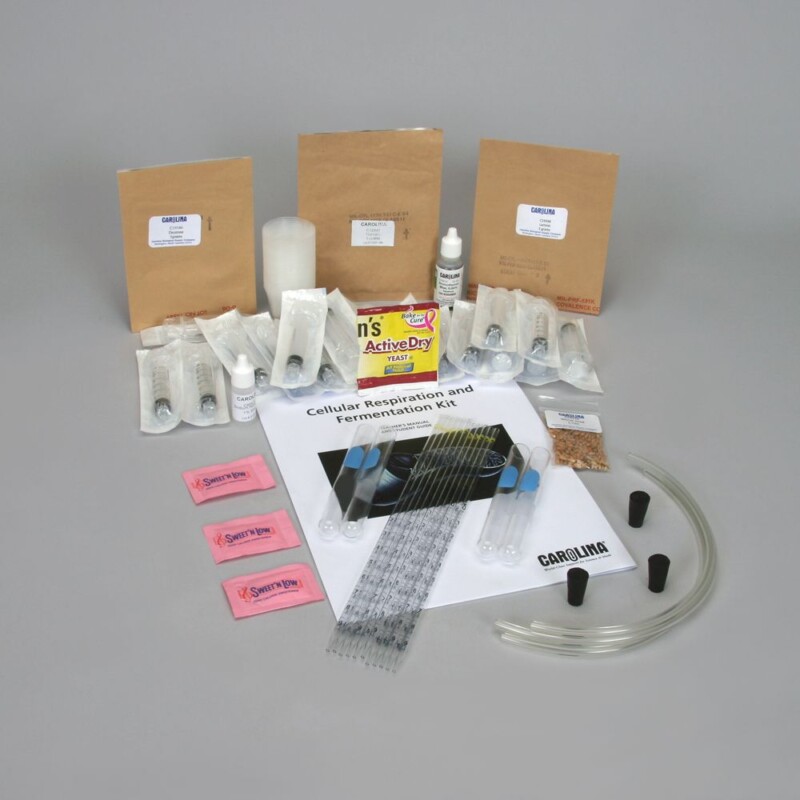 Demonstrating Cellular Respiration and Fermentation - Carolina ...