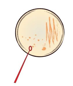 Carolina Biotechnology Troubleshooting Guide - Carolina Knowledge Center