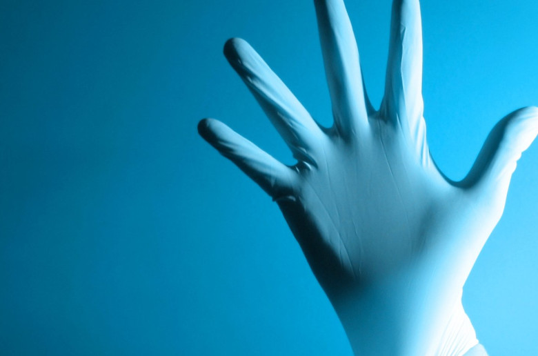 Dissection Resources Archives - Carolina Knowledge Center