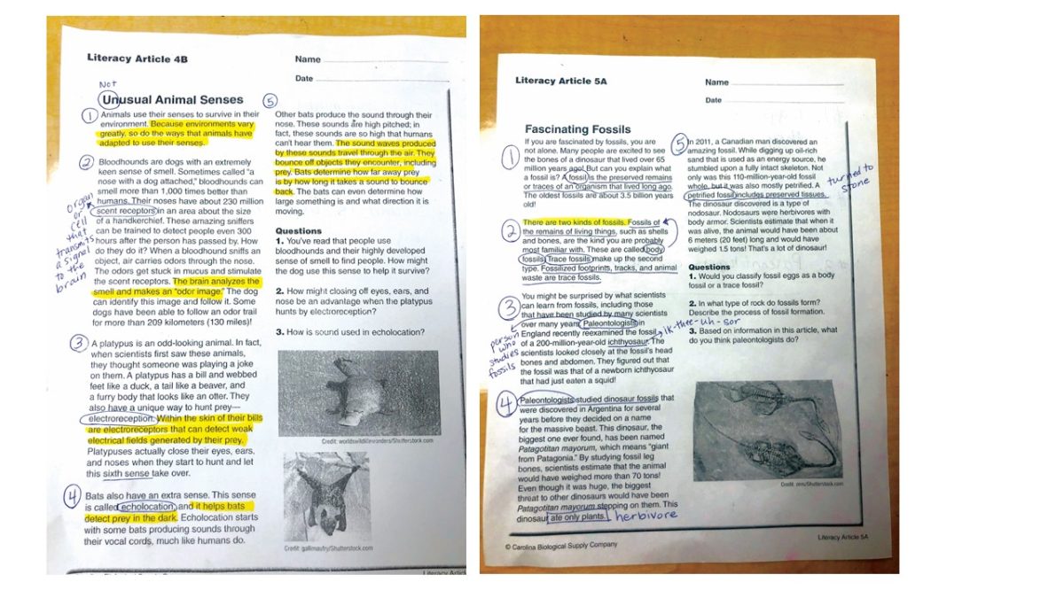 The Literacy Embedded in Elementary Science - Carolina Knowledge Center