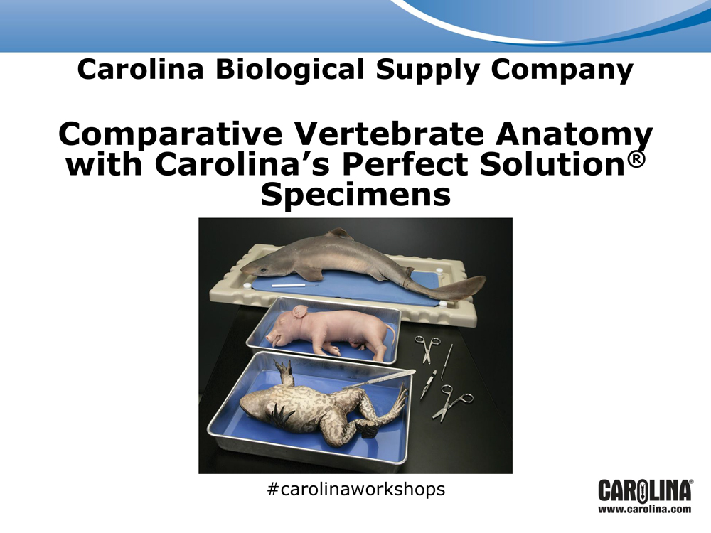 Comparative Vertebrate Anatomy with Carolina's Perfect Solution ...
