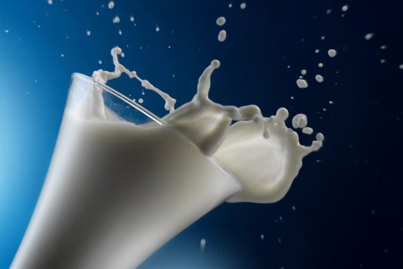 A Bitter Lesson: Understanding the Genetic Basis of PTC Tasting