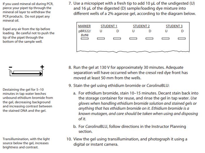 DNALC - Carolina Knowledge Center