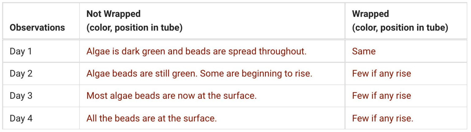 Using Algae Beads as a Model for Photosynthesis - Carolina Knowledge Center