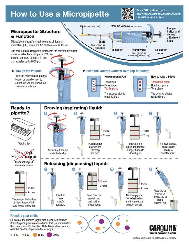 Micropipetting - Carolina Knowledge Center