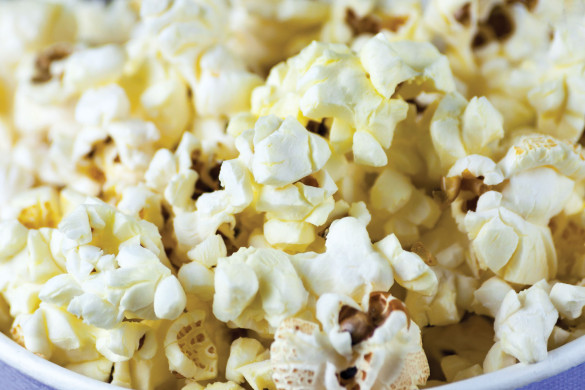 Teaching the Cell Cycle and Mitosis - Carolina Knowledge Center