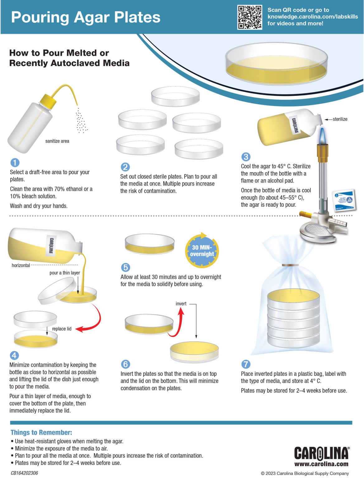 Pouring Agar Plates - Carolina Knowledge Center