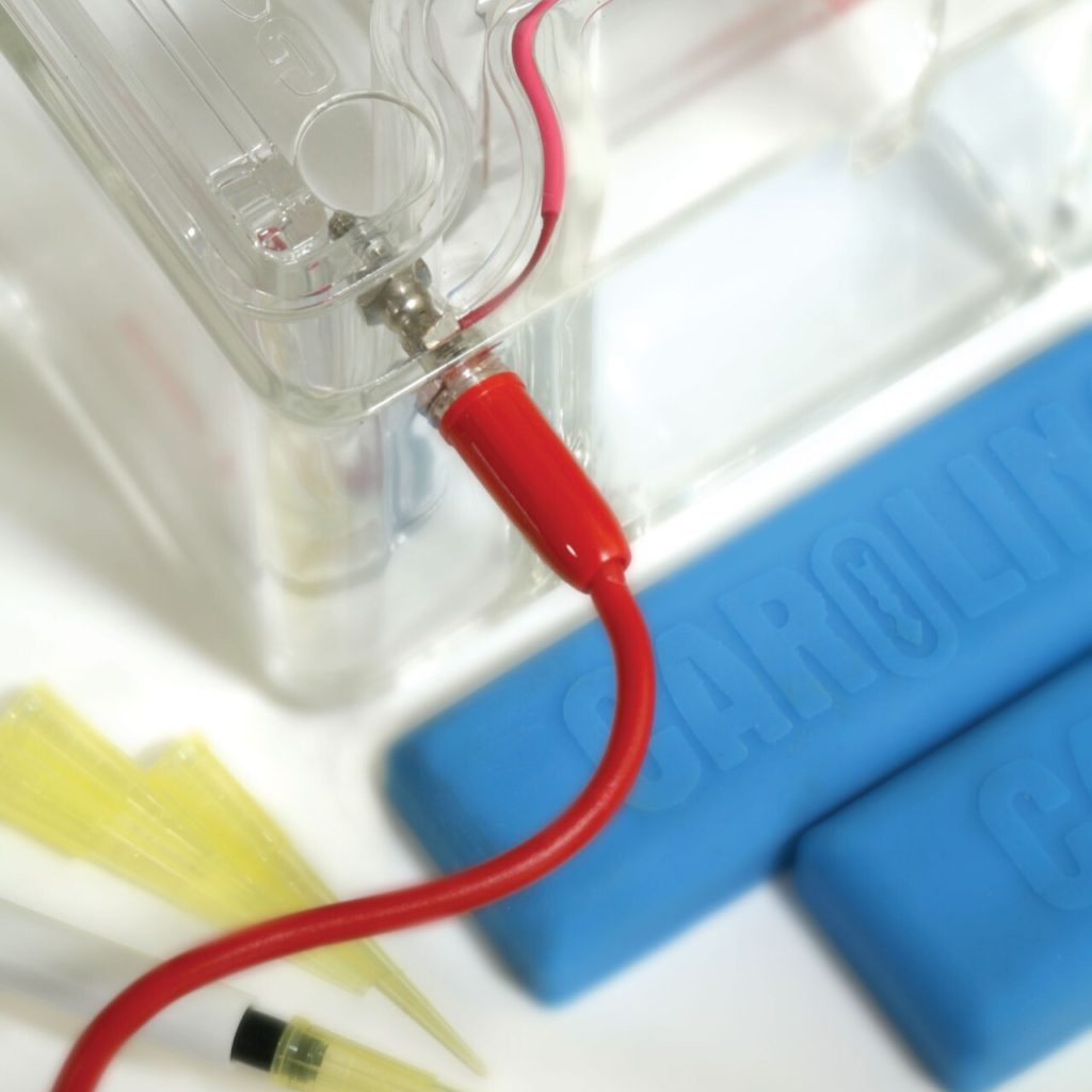 DNALC - Carolina Knowledge Center