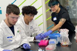 Safety Archives - Carolina Knowledge Center