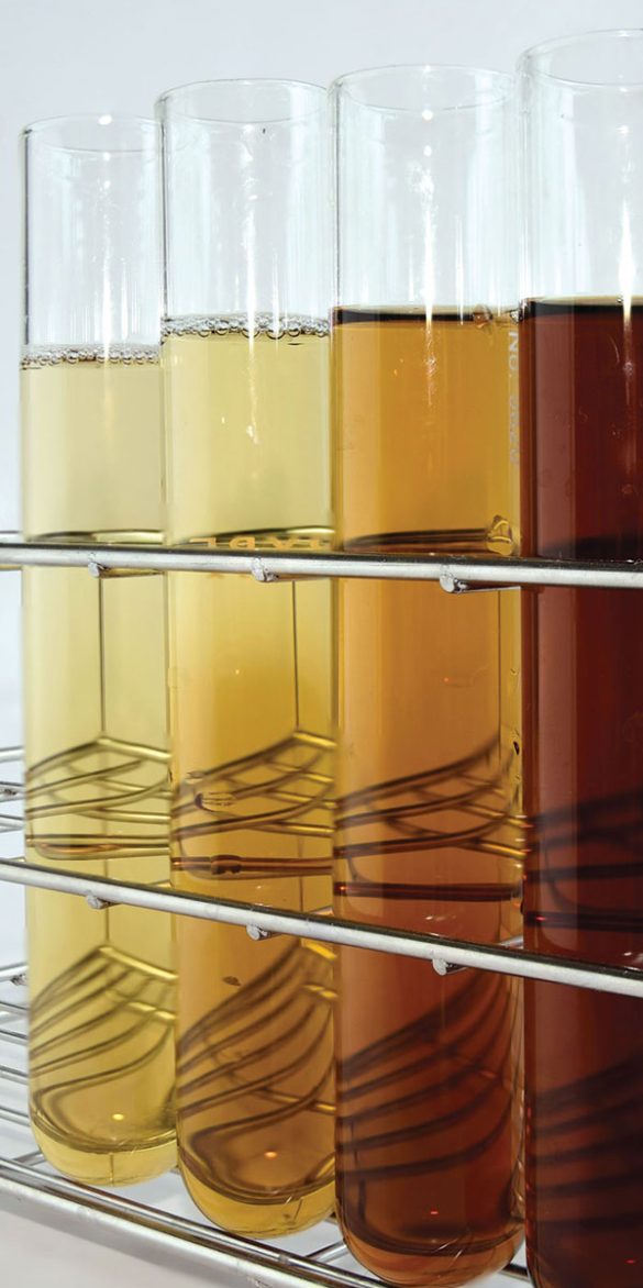 Serial Dilution - Carolina Knowledge Center