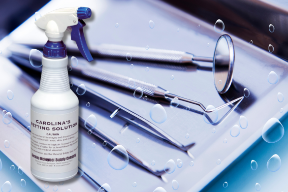 FAQs about Dissection Safety - Carolina Knowledge Center