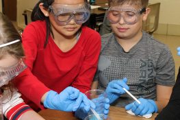 Promoting Discourse in Science Class - Carolina Knowledge Center
