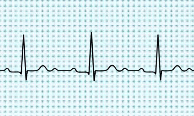Teaching the Cardiovascular System