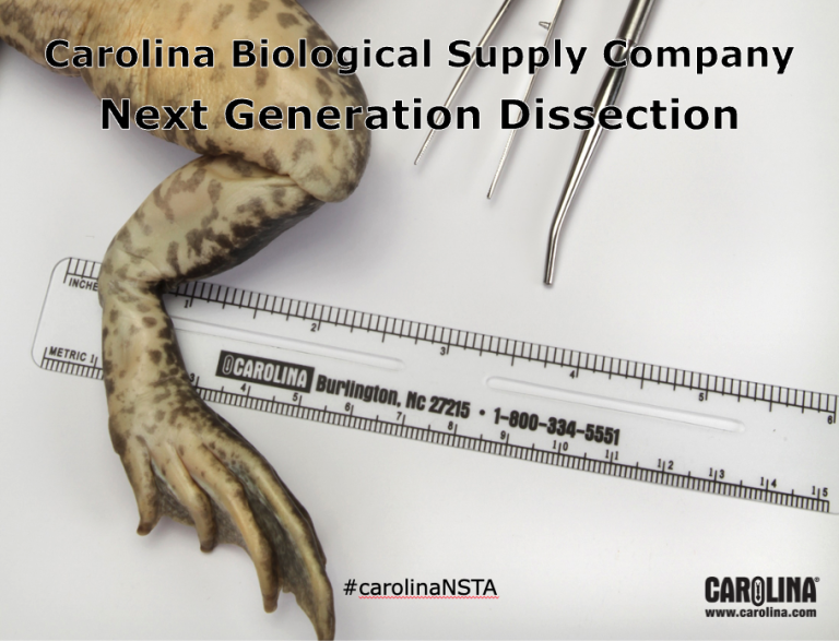 Next Generation Dissection: Form, Function, and Frogs! - Carolina Knowledge Center