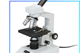 Development of Latent Fingerprints with Silver Nitrate - Carolina ...