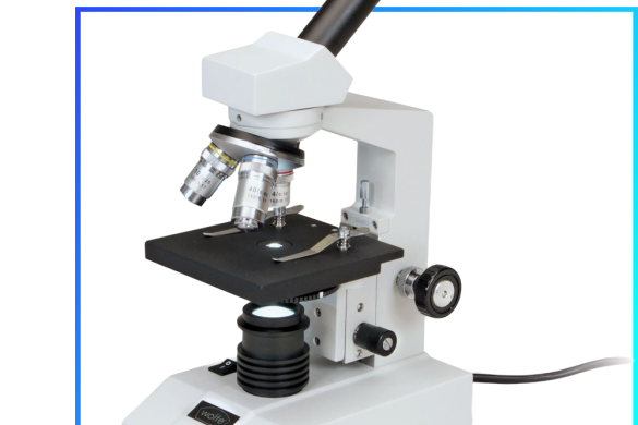 How to Handle, Store, and Repair Microscope Slides - Carolina Knowledge Center