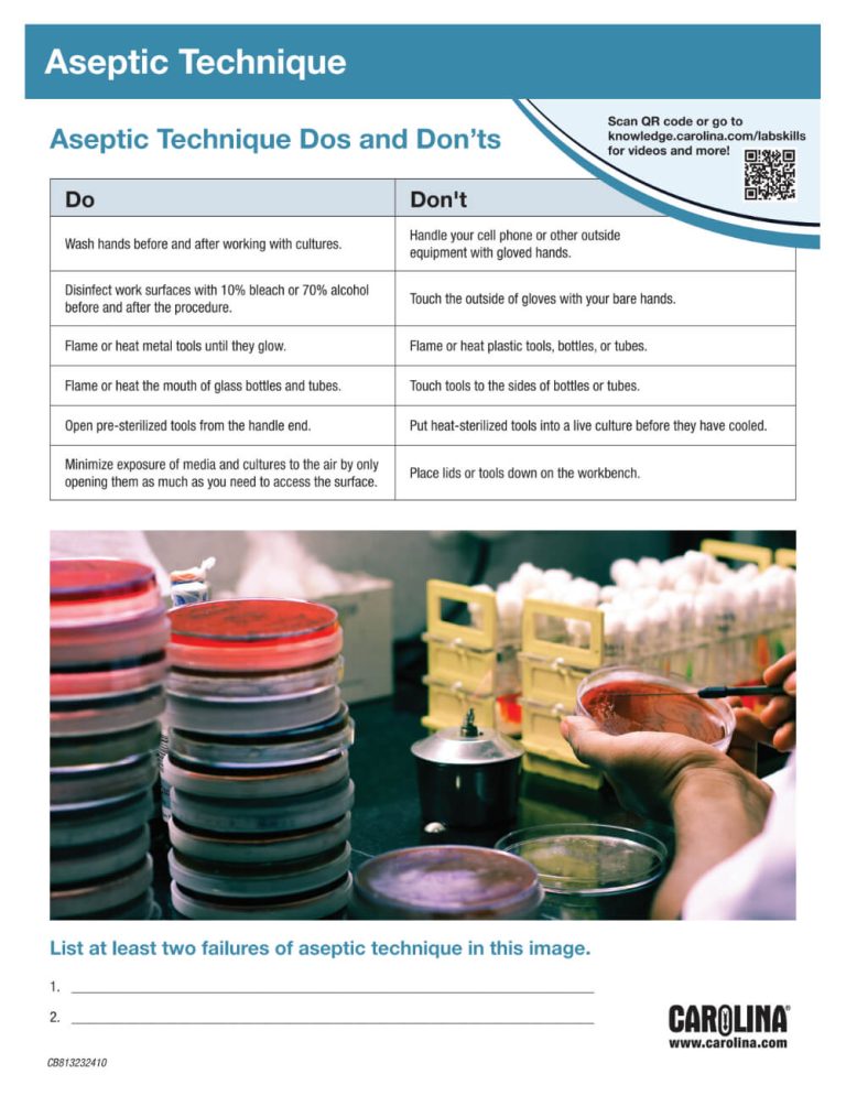 Lab Skills: Aseptic Technique – Carolina Knowledge Center