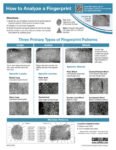 Collecting and Analyzing Fingerprints - Carolina Knowledge Center