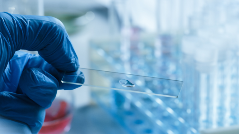 How to Make Microscope Slides for Science Fair Projects - Carolina ...